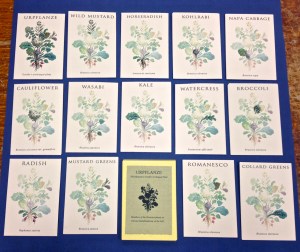 Urpflanze: Goethe’s Archetypal Plant – FRANKY FRANCES CANNON